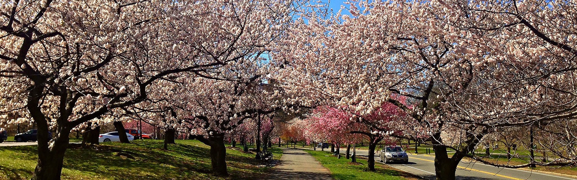 Belleville, New Jersey, Luxury Apartments for 55+